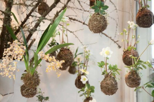 string gardens for the home