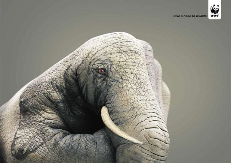 20 Powerful Adverts To Save Animals - Eluxe Magazine