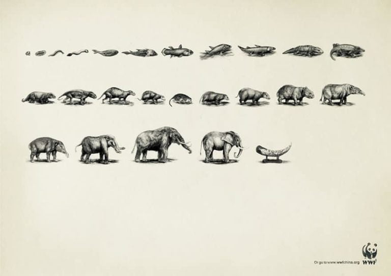 20 Powerful Adverts To Save Animals - Eluxe Magazine