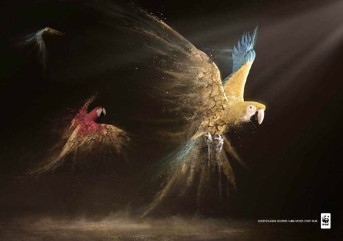 20 Powerful Adverts To Save Animals - Eluxe Magazine