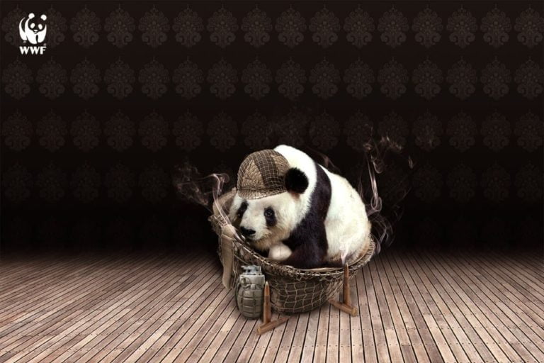 20 Powerful Adverts To Save Animals - Eluxe Magazine