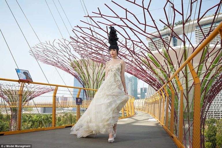 A Bright Idea: A Solar Fashion Show - Eluxe Magazine