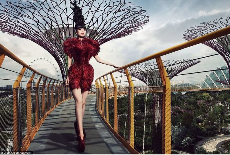 A Bright Idea: A Solar Fashion Show - Eluxe Magazine