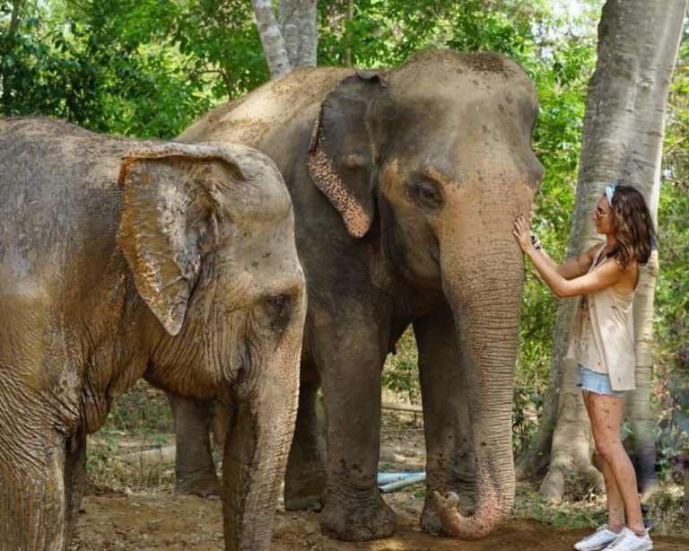 Making Friends With Elephants in Thailand - Eluxe Magazine