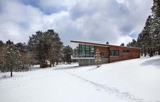 Net Gain: 5 Zero Energy Homes You'll Wish You Lived In - Eluxe Magazine