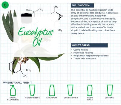 14 Vital Natural Skincare Ingredients To Know - Eluxe Magazine