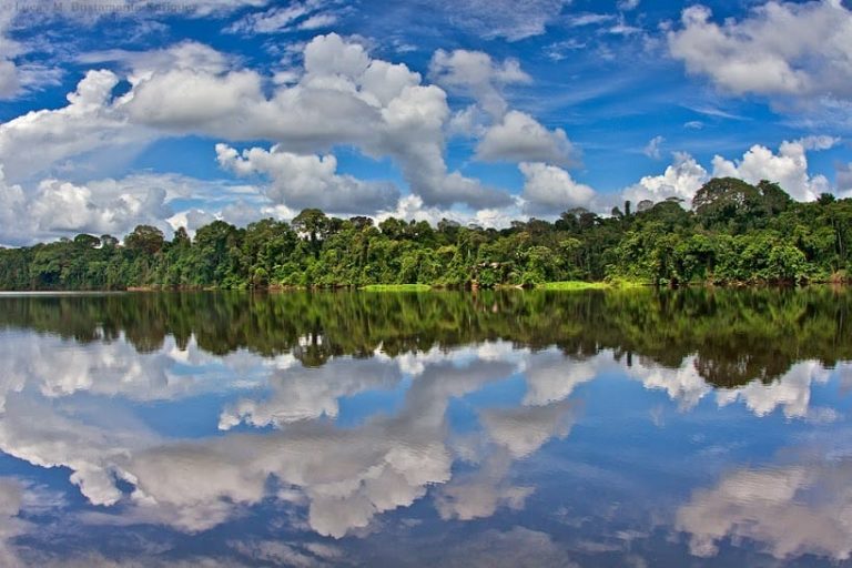 Exploring the Amazon with Rainforest Expeditions