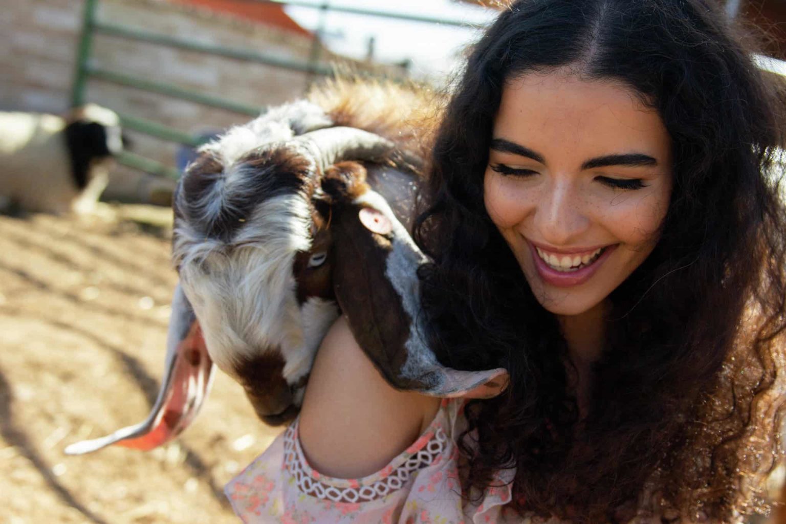 Freedom Farm Sanctuary: Giving Animals Hope - Eluxe Magazine