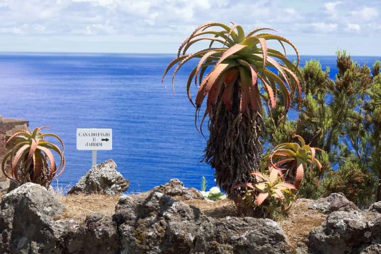 10 Of The World's Most Remote Islands - Eluxe Magazine