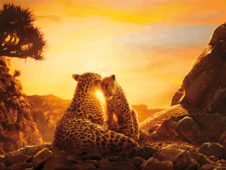 The Best Environmental Documentaries Ever - Eluxe Magazine