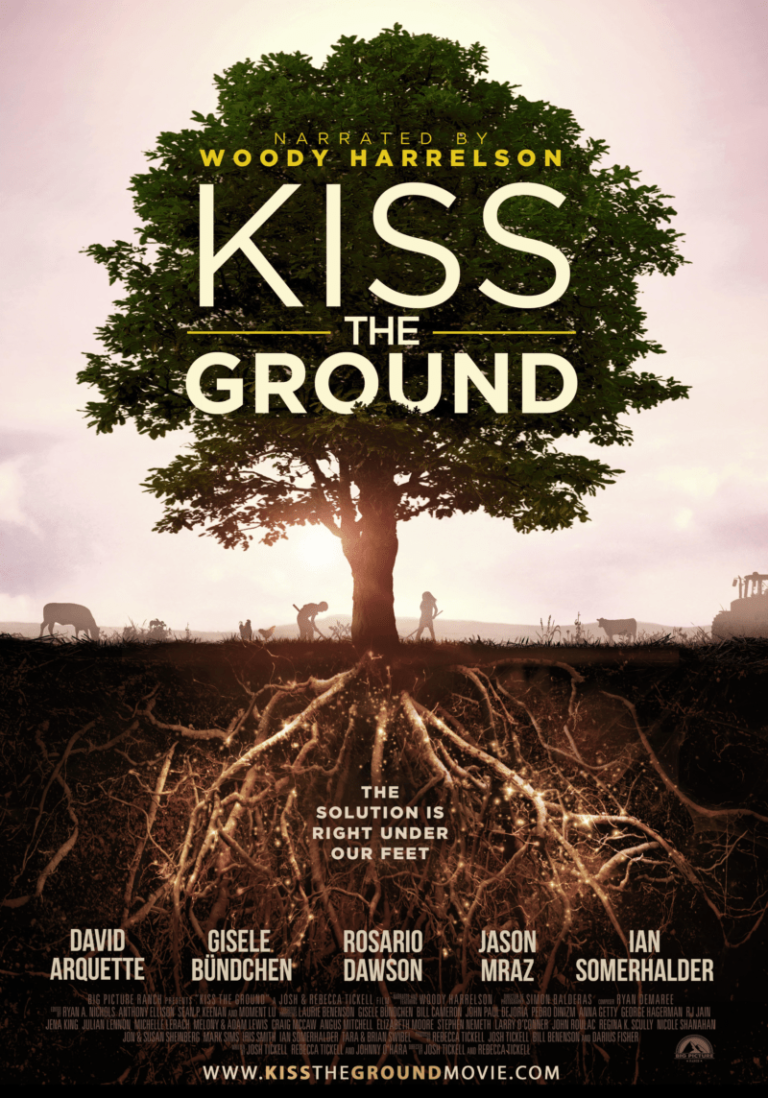 The Best Environmental Documentaries Ever - Eluxe Magazine