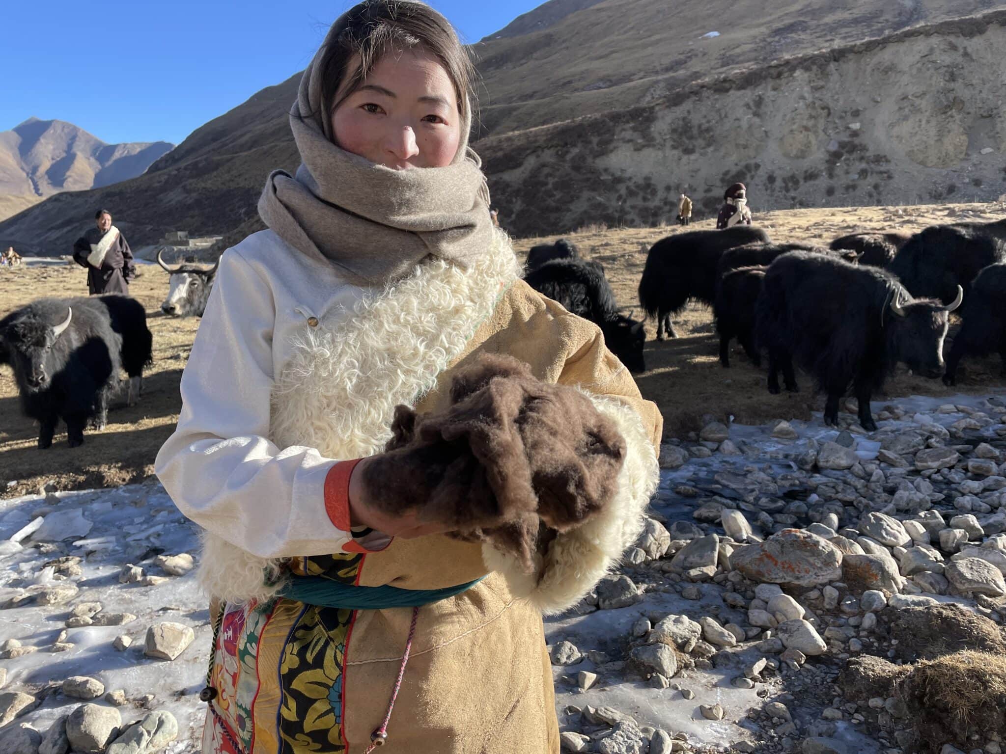 The Surprising Benefits Of Yak Wool - Eluxe Magazine