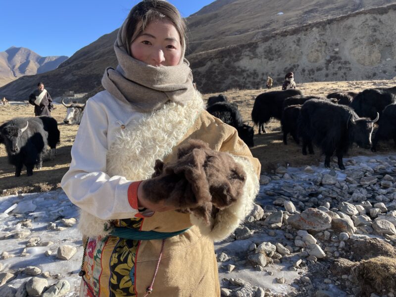 The Surprising Benefits Of Yak Wool - Eluxe Magazine