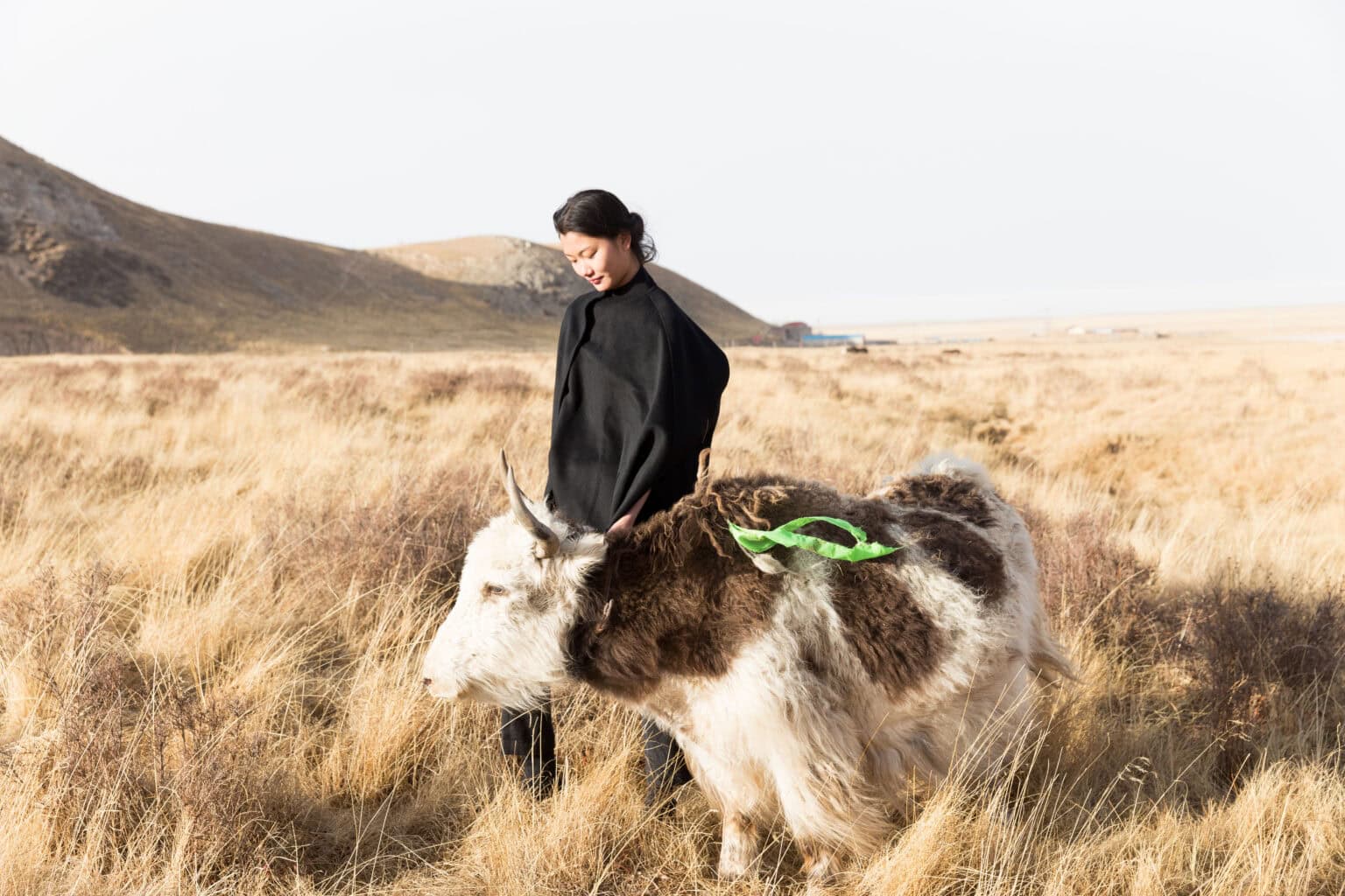 The Surprising Benefits Of Yak Wool - Eluxe Magazine